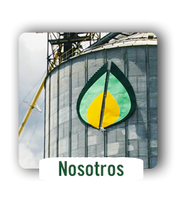 Solla – Te brindamos lo mejor en nutrición para tus animales de producción