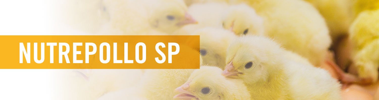 NUTREPOLLO SP - Solla