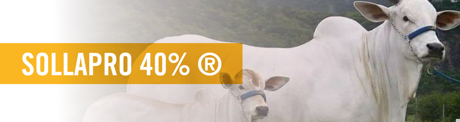 SOLLAPRO 40% ® – Solla