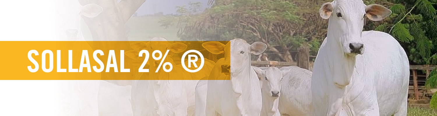 SOLLASAL 2% ® - Solla