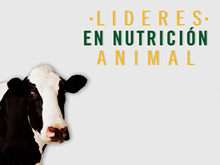 Home - Nutrición Animal - Solla