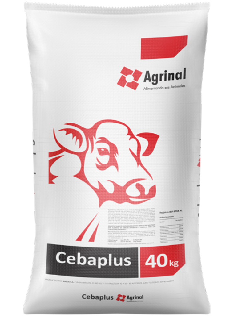 Ganado de Ceba Solla archivos - Solla