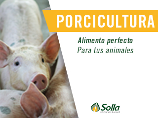 Home - Nutrición Animal - Solla
