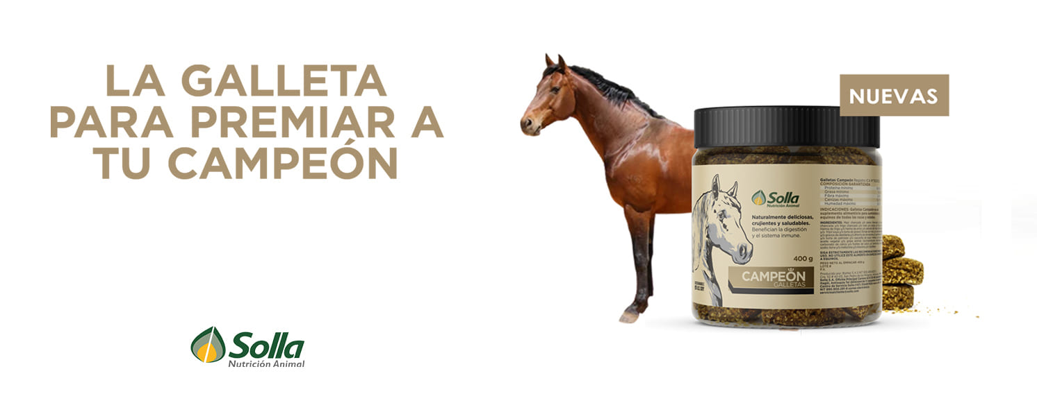 Home - Nutrición Animal - Solla