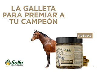 Home - Nutrición Animal - Solla