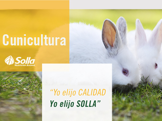 Home - Nutrición Animal - Solla