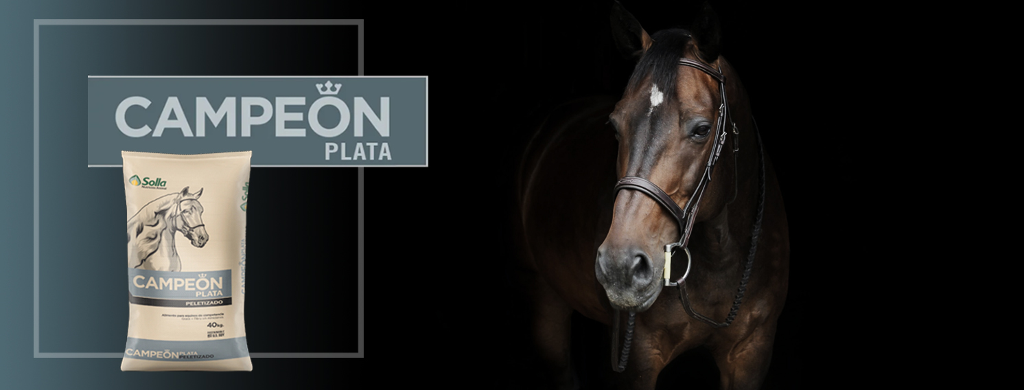 Solla – Te brindamos lo mejor en nutrición para tus animales de producción