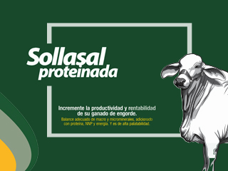 Home - Nutrición Animal - Solla