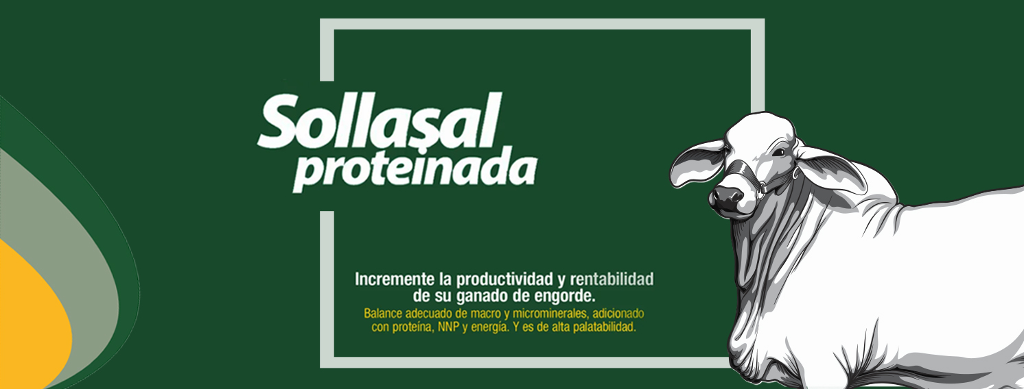 Solla – Te brindamos lo mejor en nutrición para tus animales de producción