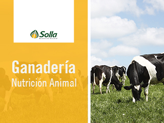 Home - Nutrición Animal - Solla