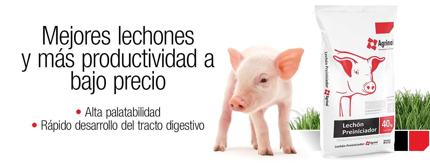 Home - Nutrición Animal - Solla