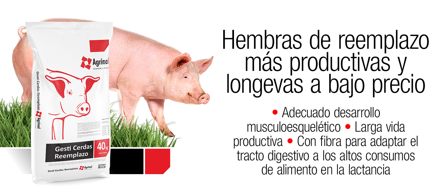 Home - Nutrición Animal - Solla
