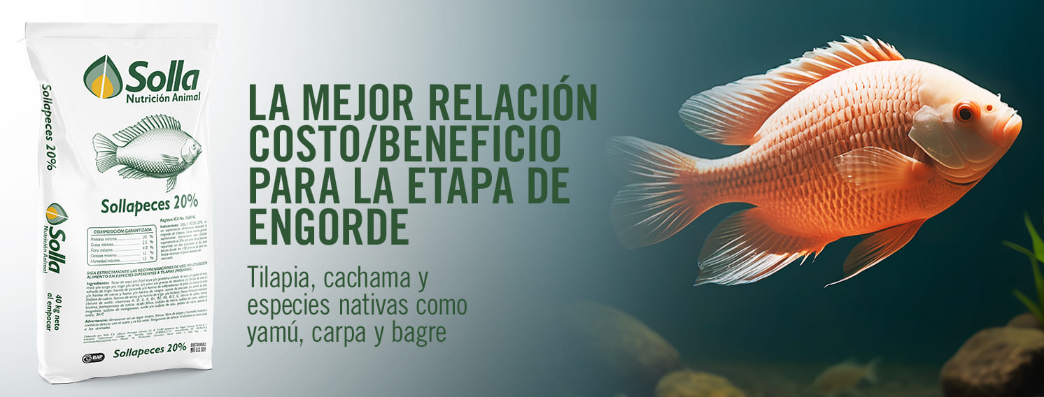 Home - Nutrición Animal - Solla