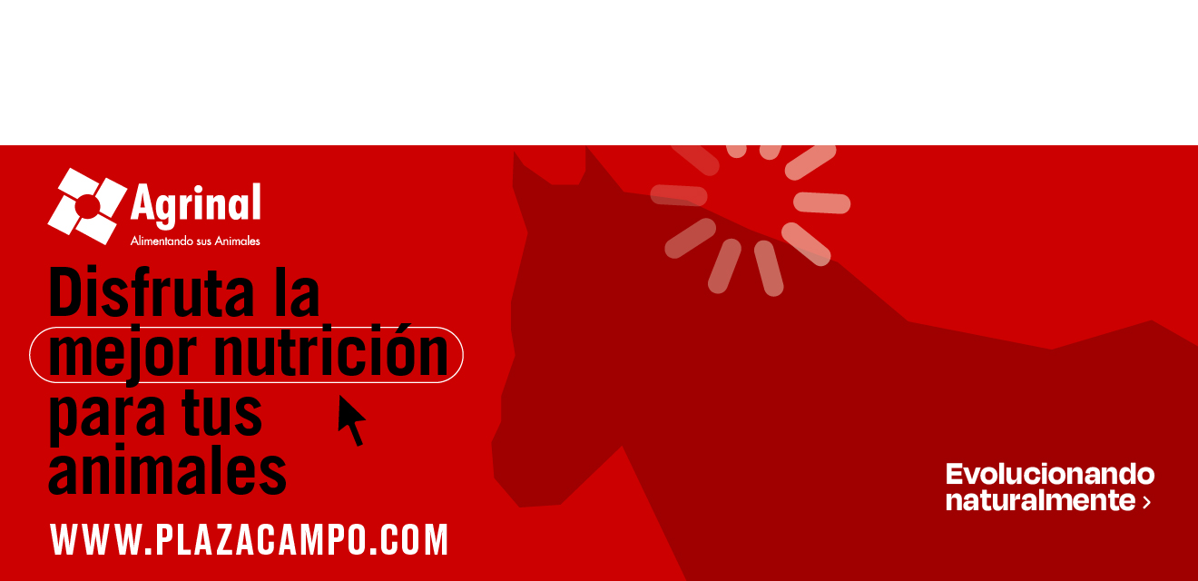 Home - Nutrición Animal - Solla