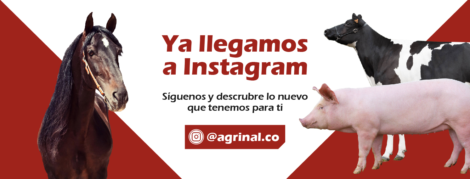 Home - Nutrición Animal - Solla