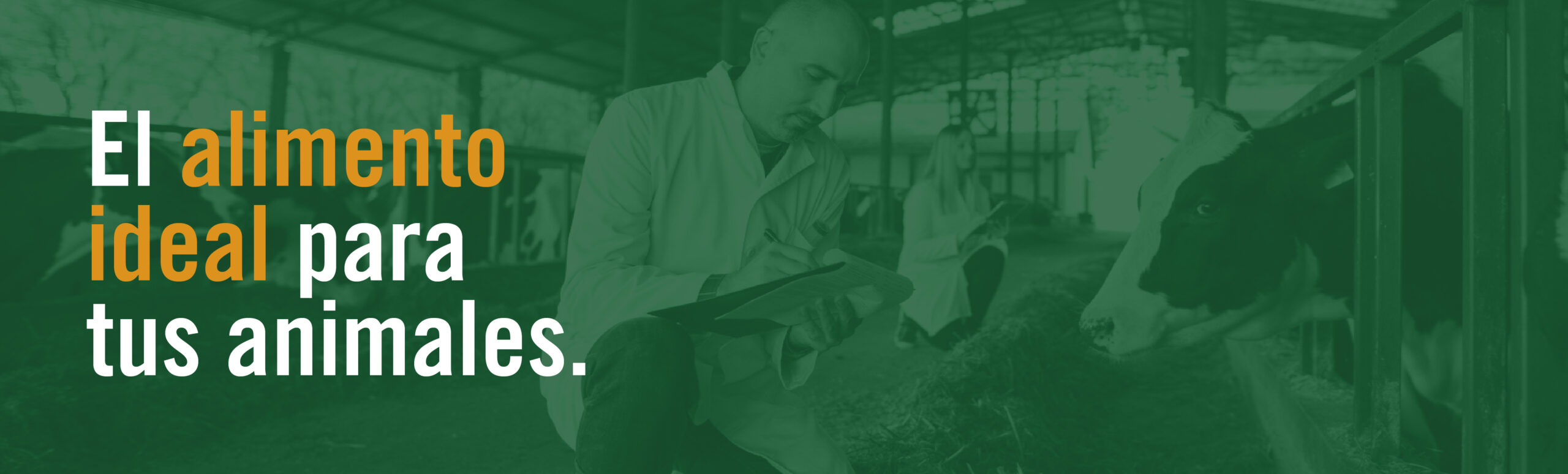 Solla – Te brindamos lo mejor en nutrición para tus animales de producción