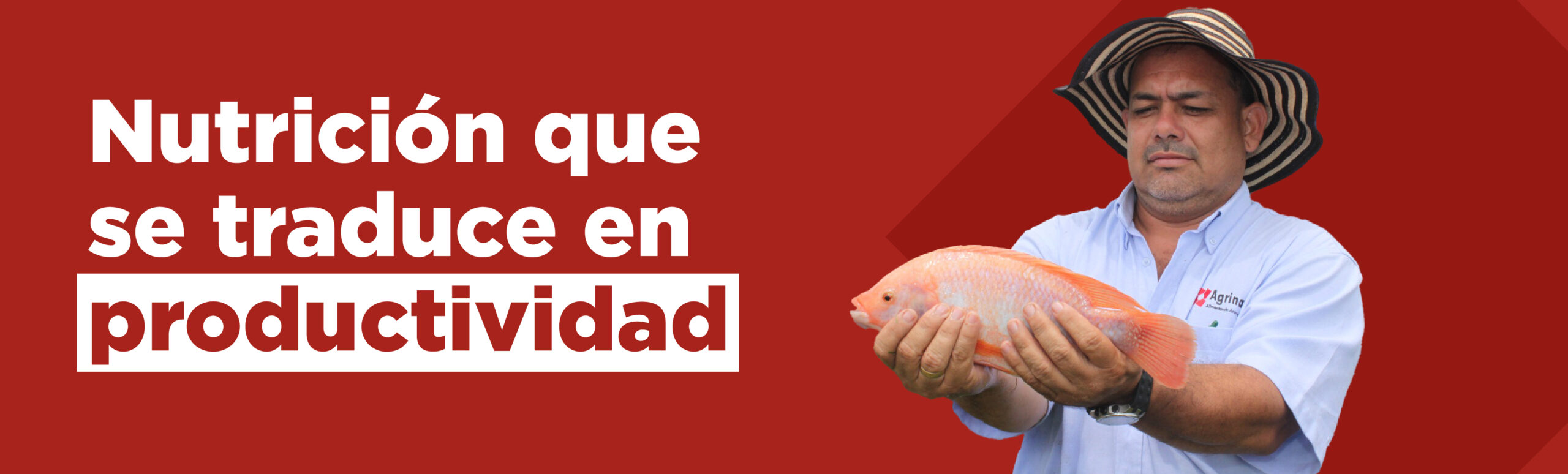 Solla – Te brindamos lo mejor en nutrición para tus animales de producción