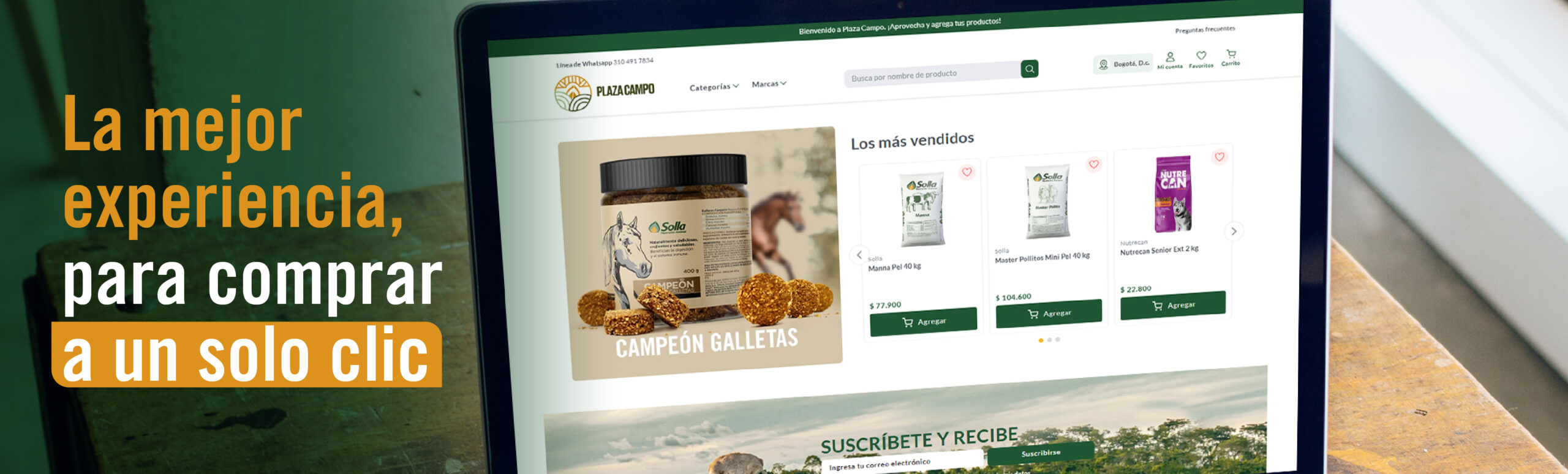 Home - Nutrición Animal - Solla