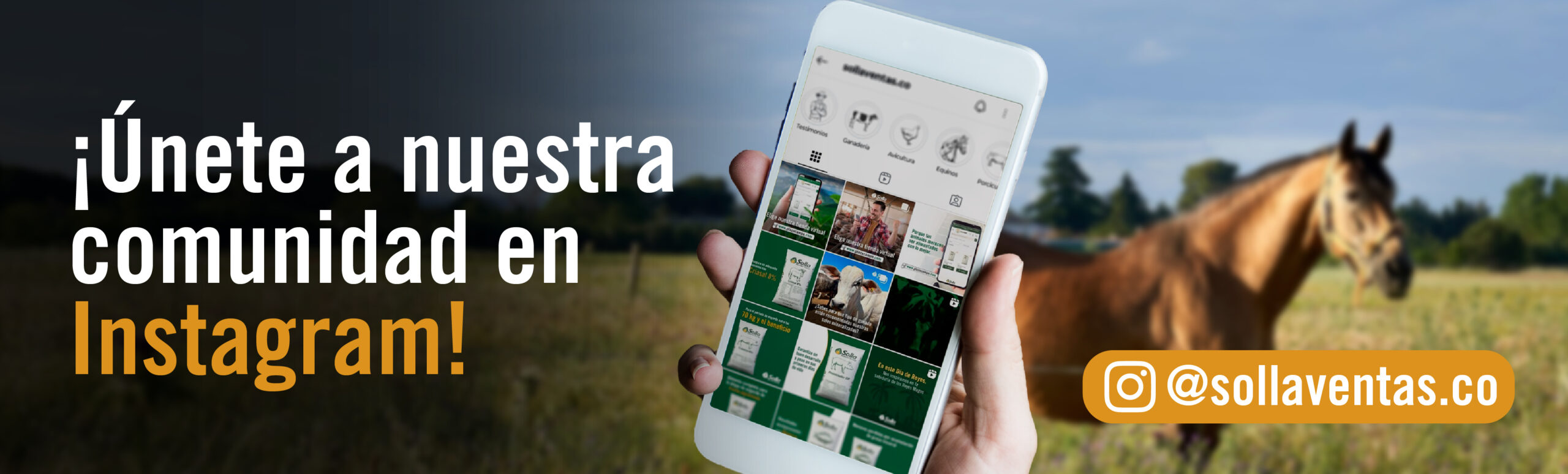 Home - Nutrición Animal - Solla