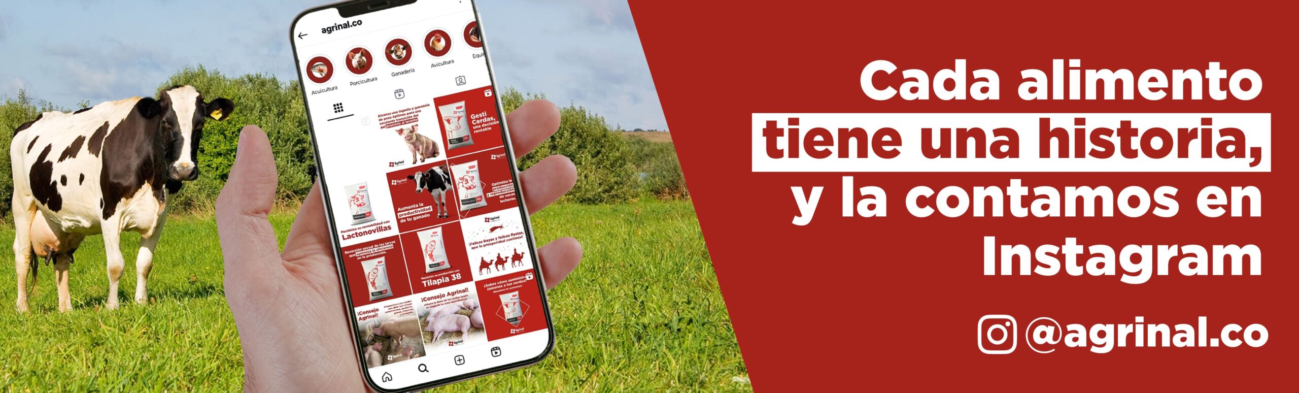 Solla – Te brindamos lo mejor en nutrición para tus animales de producción