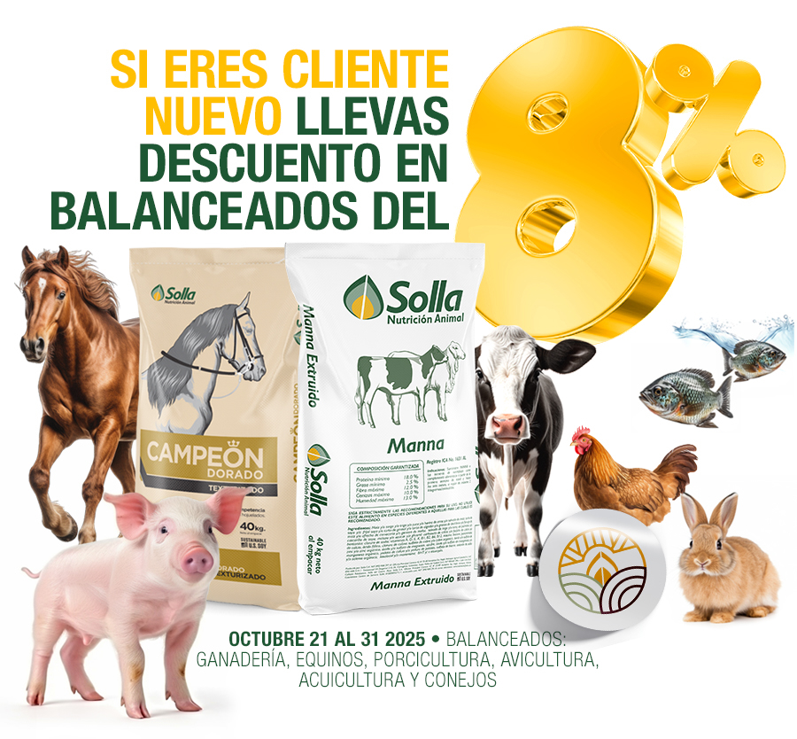 Solla – Te brindamos lo mejor en nutrición para tus animales de producción